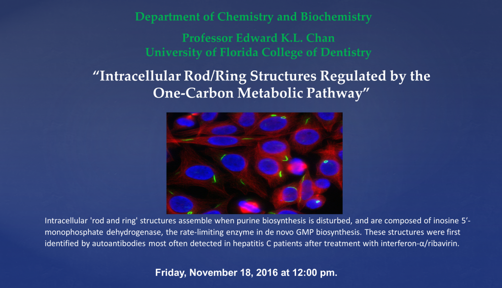 Intracellular Rod/Ring Structures Regulated by the One-Carbon ...